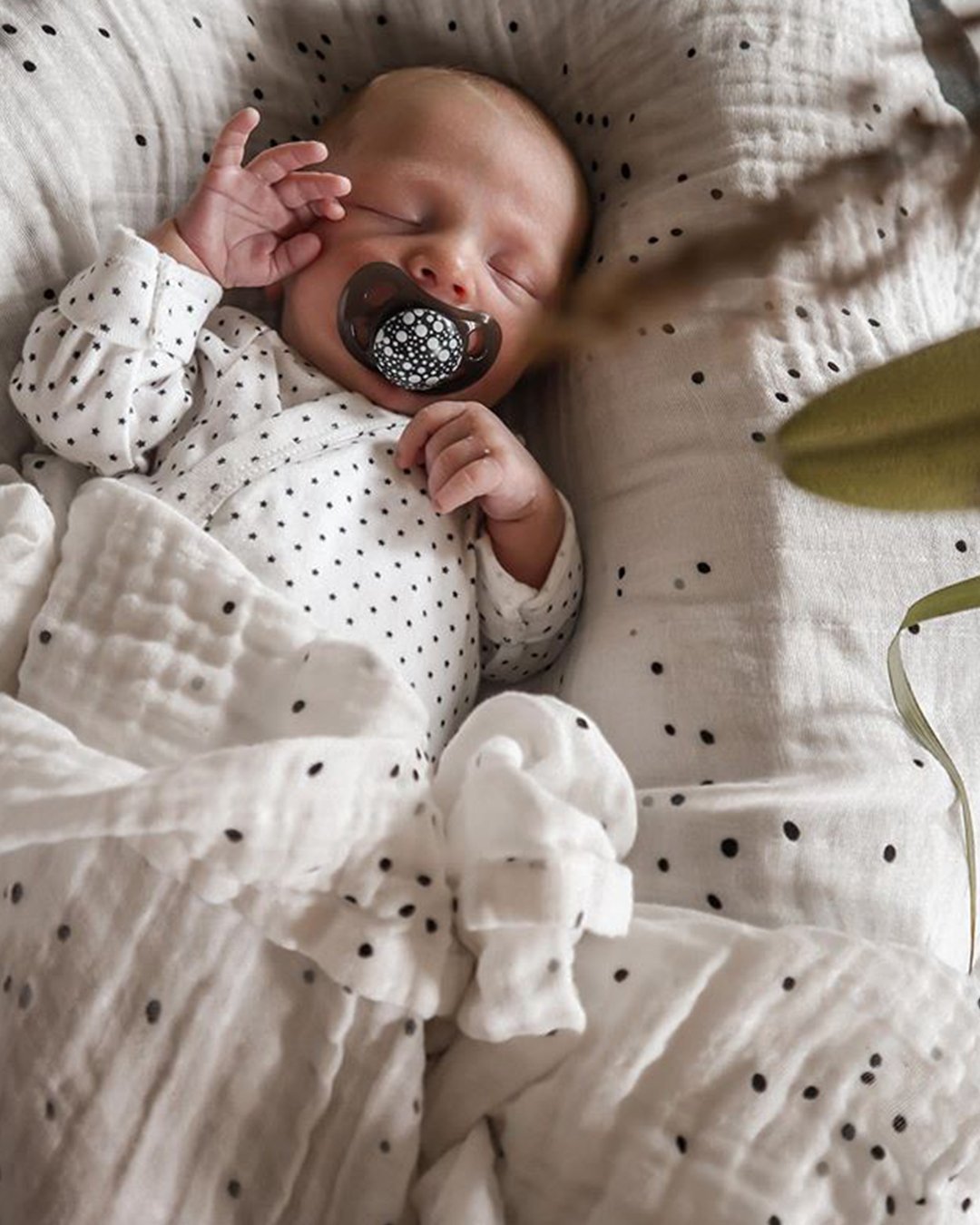 Pacifiers & Teethers • For babies and toddlers • Twistshake